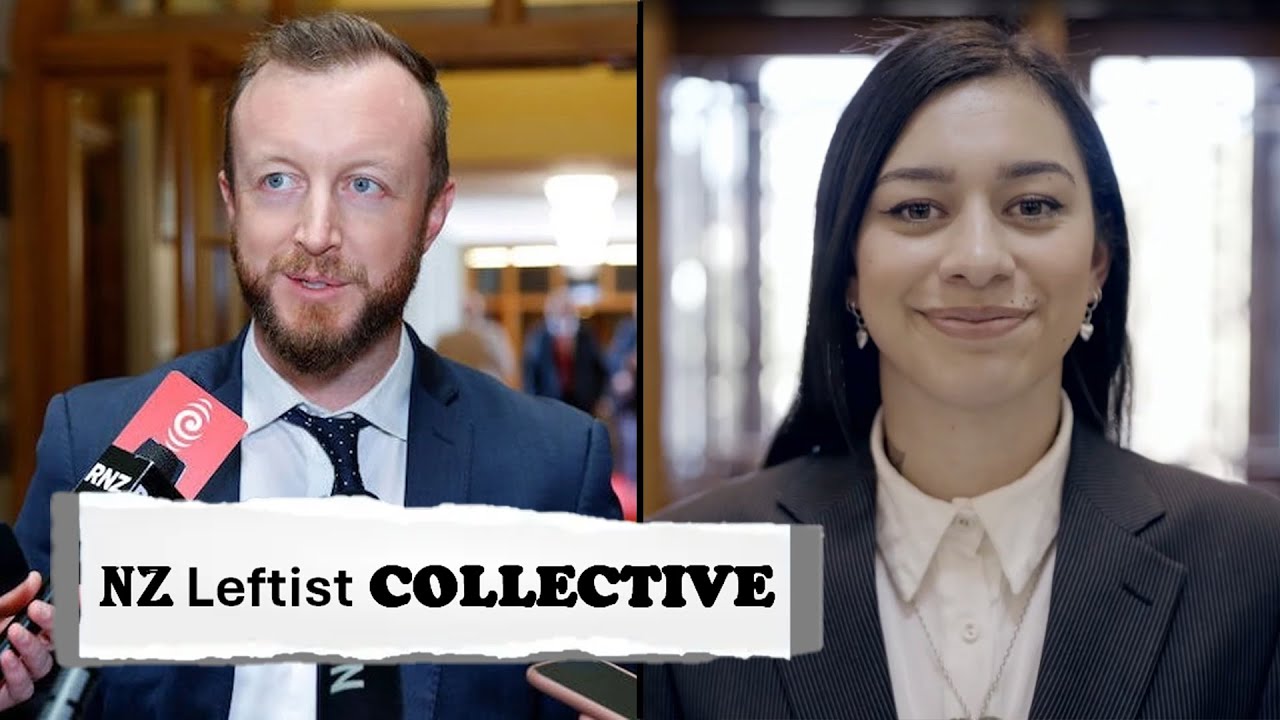 #TLC Kieran McAnulty responds re Labours comments about Tamatha Paul ...