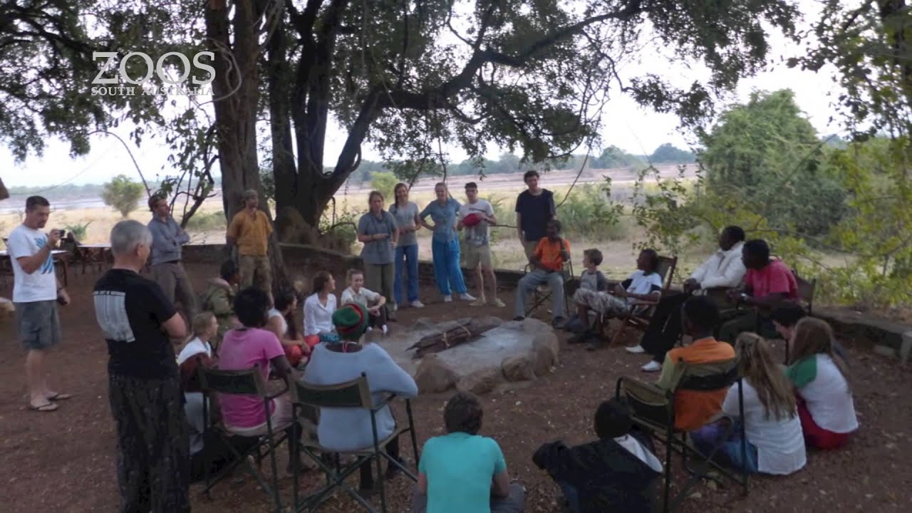 Celebrating a Conservation Partnership with Chipembele Wildlife ...