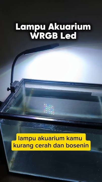 Lampu Hias Akuarium #fypシ゚viral #trending #viralshort #lampu #akuarium #ikanhiaskoki - YouTube