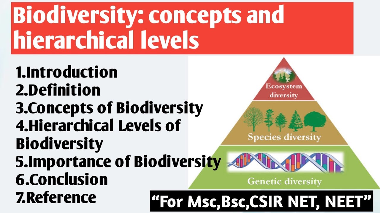 Biodiversity Concepts and Hierarchical Levels | Concepts of ...