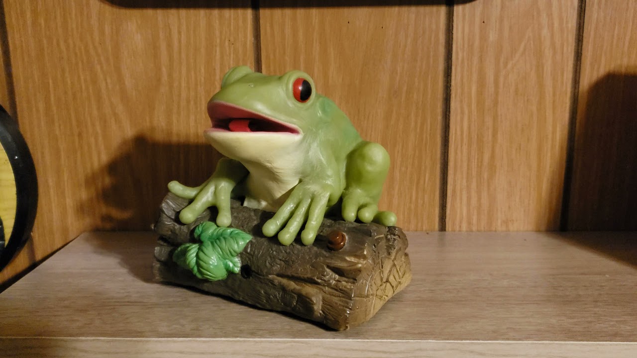 Gemmy Singing Frog on Log - YouTube