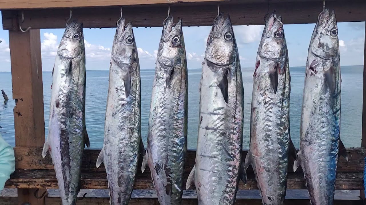 Fishing for King Fish with Capt Big John! - YouTube