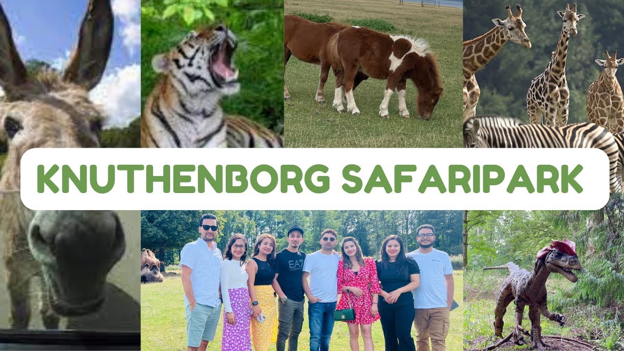 Knuthenborg Safaripark | 4K Tour Highlight | Southern Denmark. - YouTube