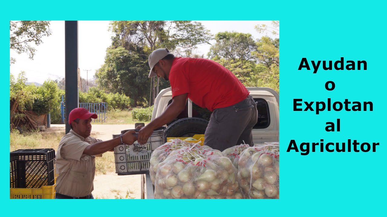 ¿ Son necesarios los intermediarios en el Agro ? - YouTube