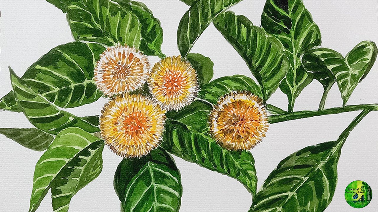 How to paint a Flower step by step, flower drawing, kodom ful drawing ...