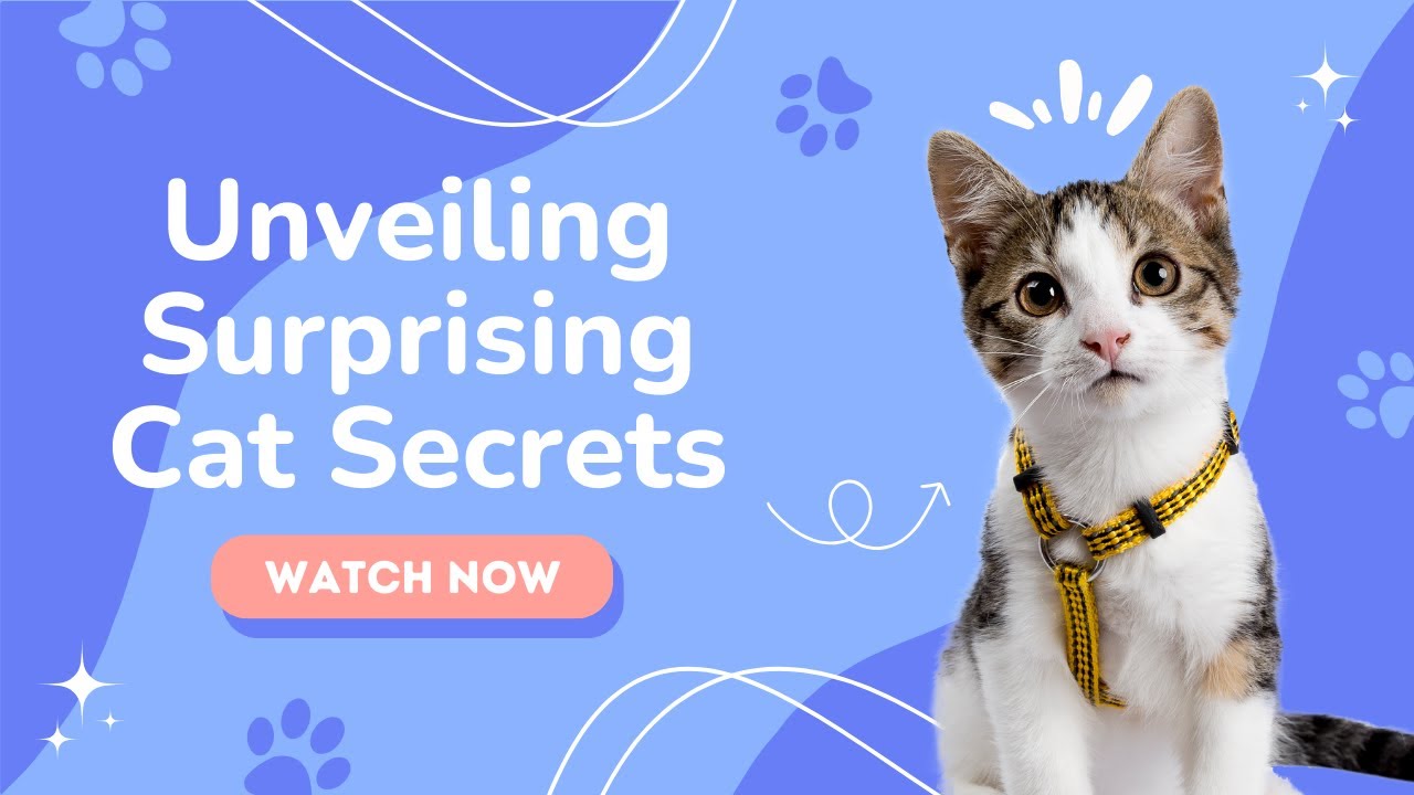 Unveiling Surprising Cat Secrets 😺🐾 - YouTube