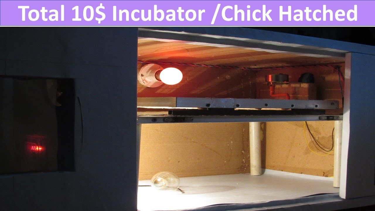 How to make incubator full option/part 2/Chick hatched - YouTube