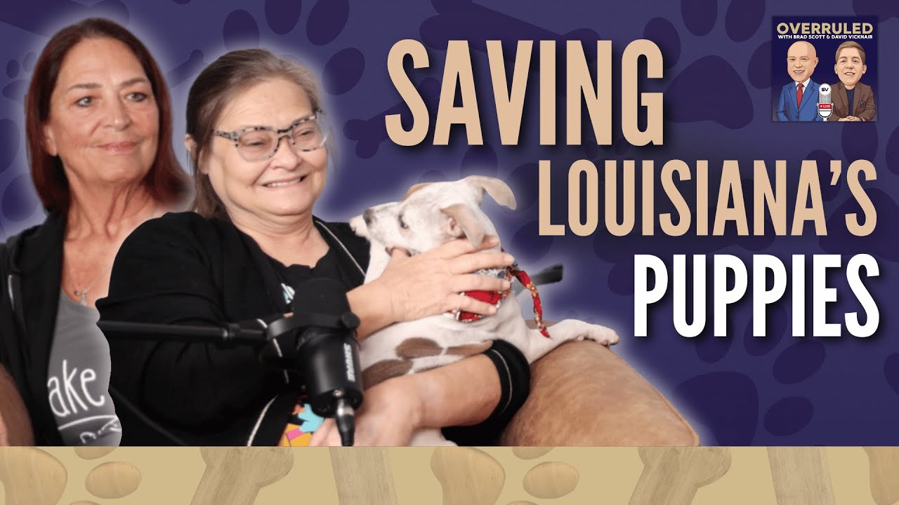 Behind the Scenes at Take Paws Rescue with Julie Frank & Vicki Johnson ...
