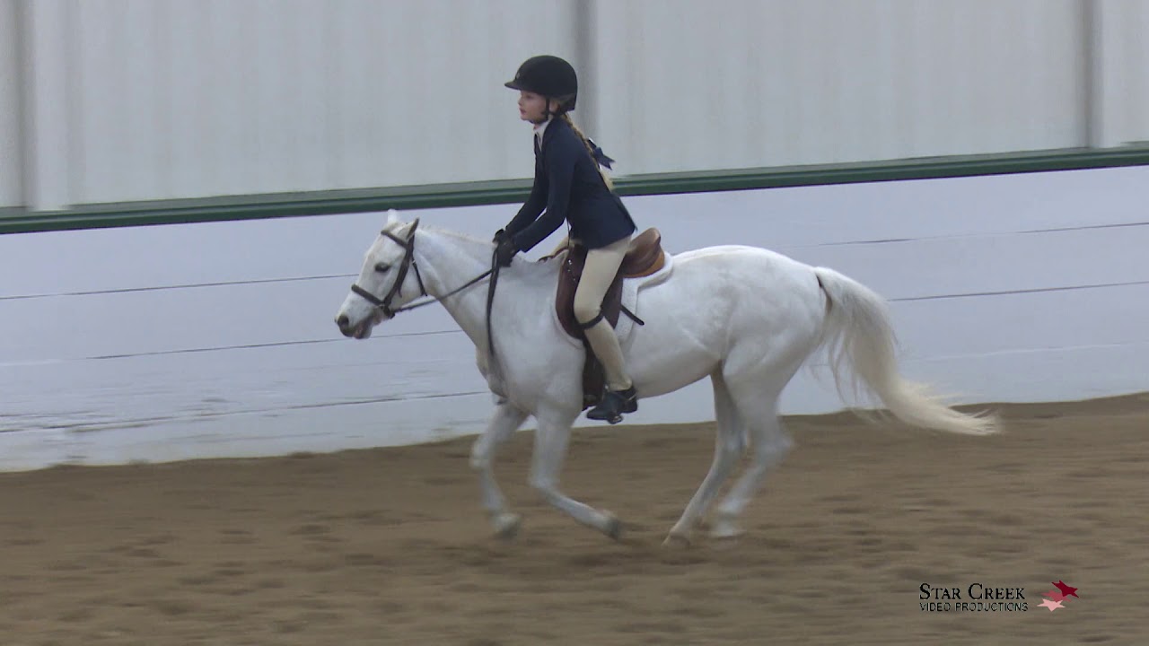 "Margarita" - Small Pony Hunter - Ledges A1 Mar 2020 - YouTube