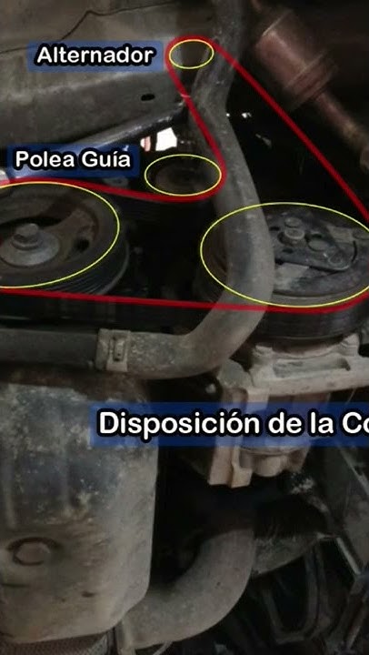 El vídeo completo de la correa de accesorios SIN TENSOR, Citroën C3 ...