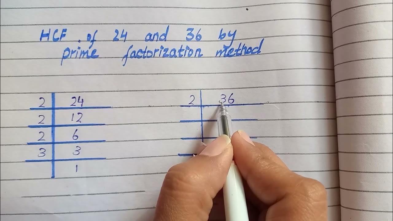 HCF by prime factorization method| HCF of 24 and 36 by prime ...