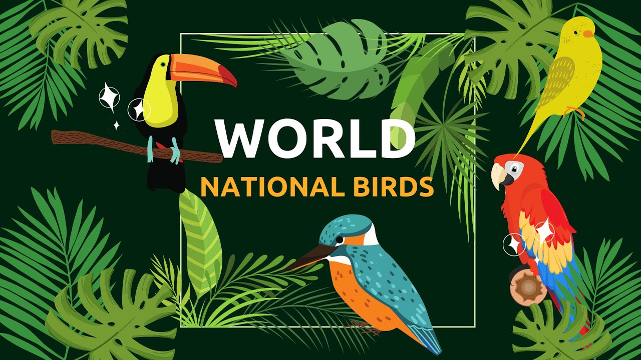 National Birds of World Part-1| Countries, Flags, and their National ...