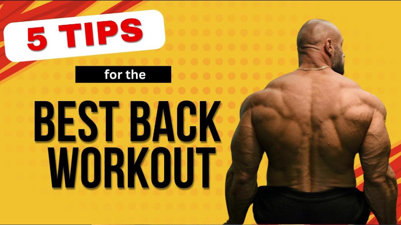 Exercises for Developing a Big Back - YouTube