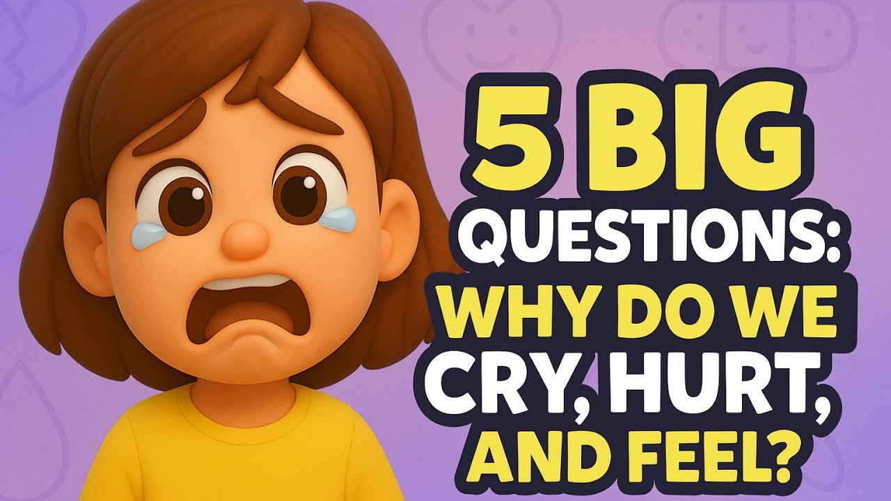 5 Big Questions: Why Do We Cry, Hurt, and Feel? 😢🩹🧠 - YouTube