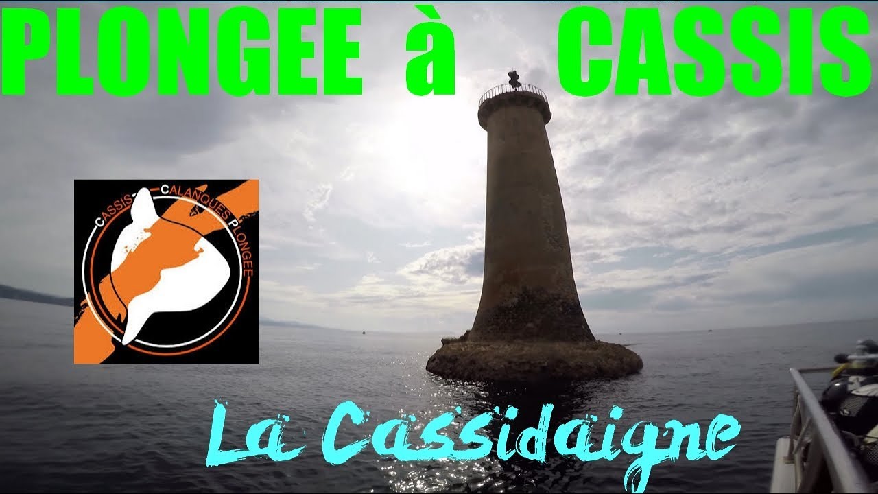 Plongée Cassis - La Cassidaigne - YouTube