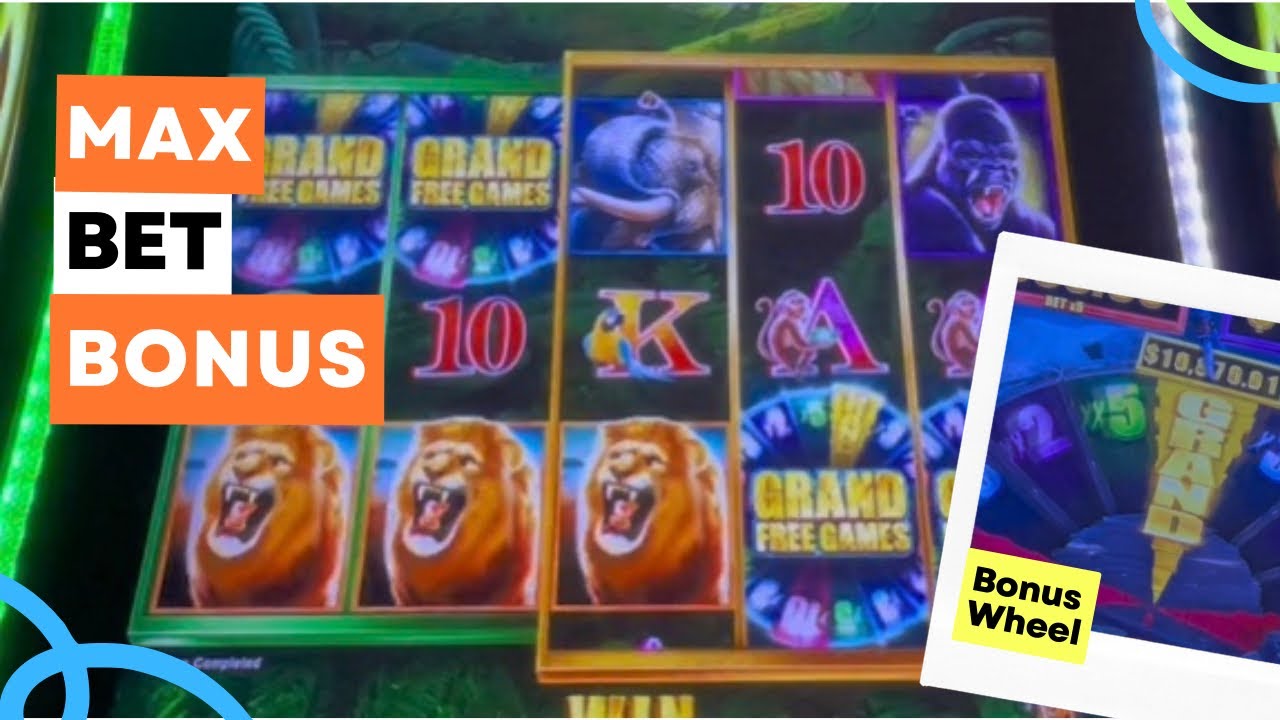 Max Bet Back to Back Bonus on Tarzan Slot Machine - YouTube