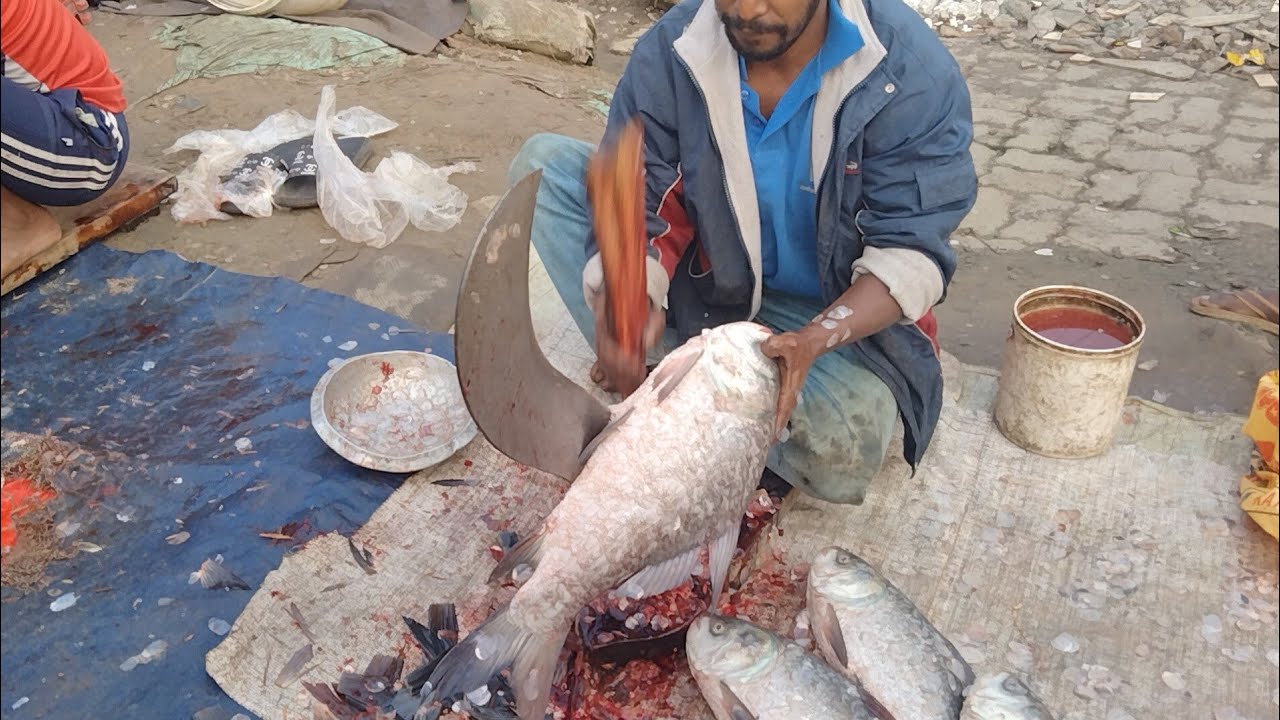 Nice katok fish#bdfishcutting #fishcuting #fish #youtubevideo # ...