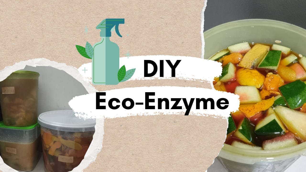 DIY ECO-ENZYME - YouTube
