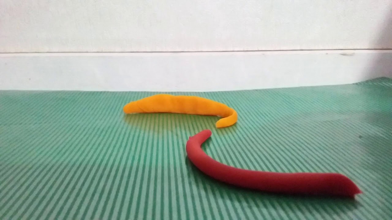 the orange worm - YouTube