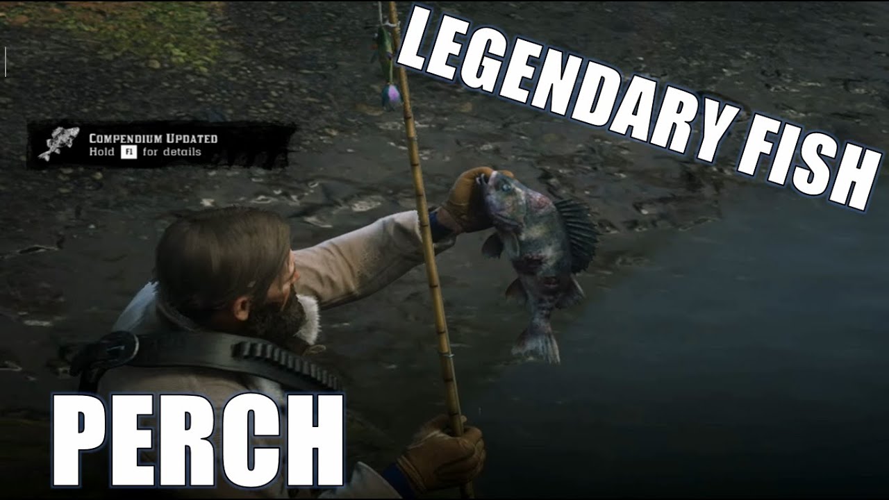 Red Dead Redemption 2 Walkthrough | Guide Catch Legendary Fish Perch ...