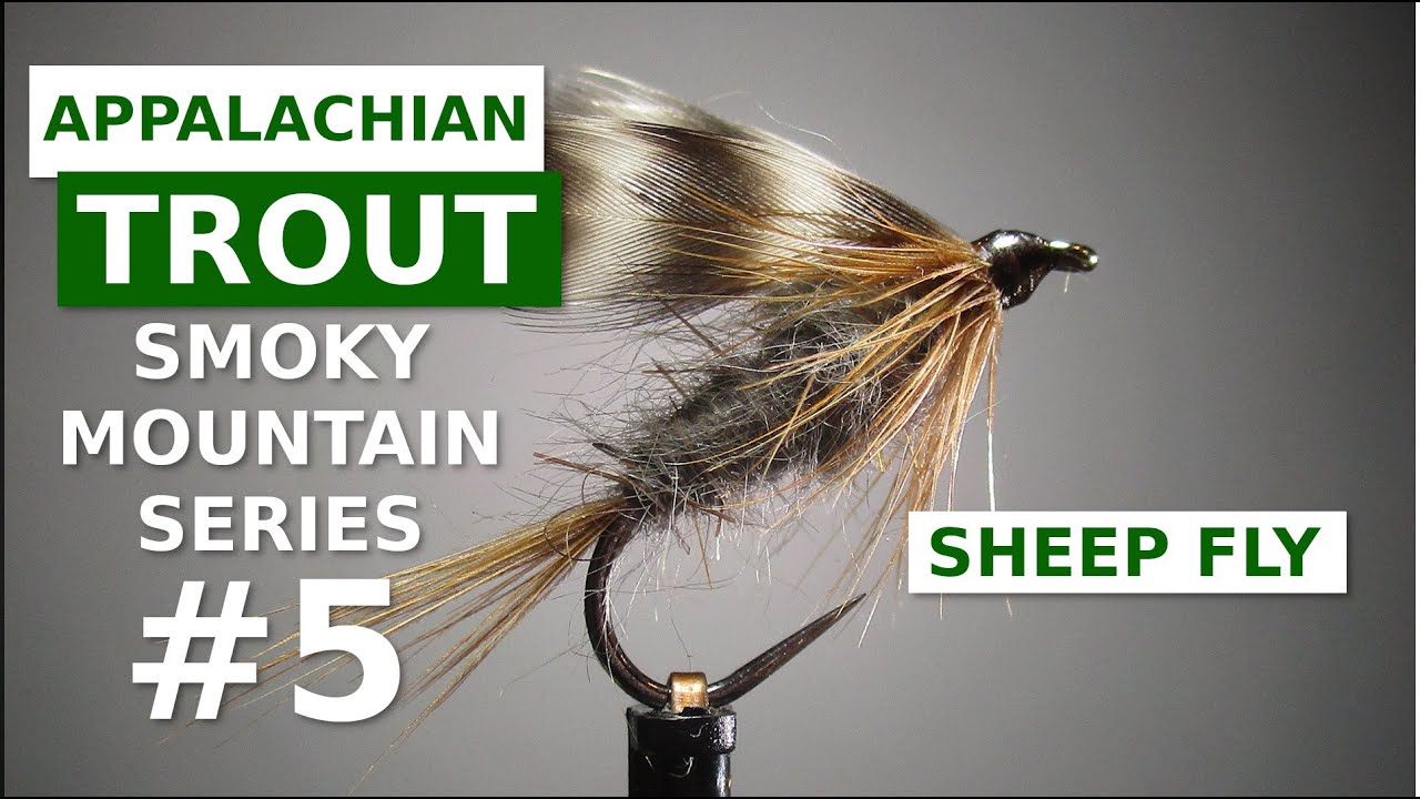 Sheep Fly - Fly Tying Appalachian/Great Smoky Mountain Trout Flies ...