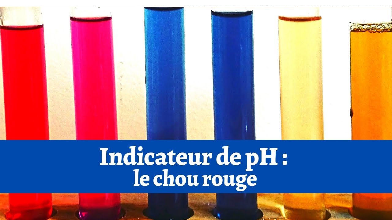 Expérience: créer un indicateur de pH à base de chou rouge - YouTube
