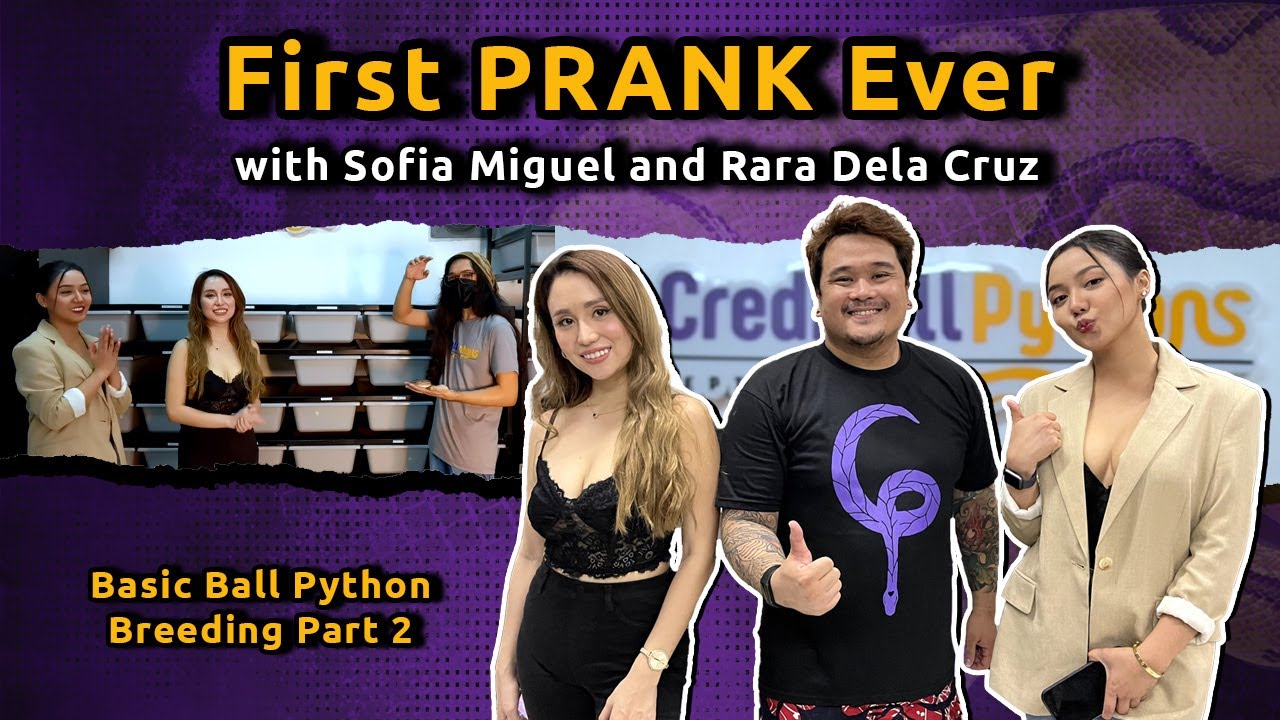 🐍 07: First PRANK Ever and Basic Ball Python Breeding (Part 2) - YouTube