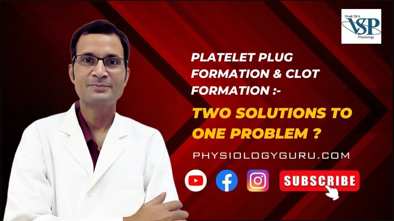 Platelet plug formation and clot formation | PHYSIOLOGY | MBBS | NEET ...