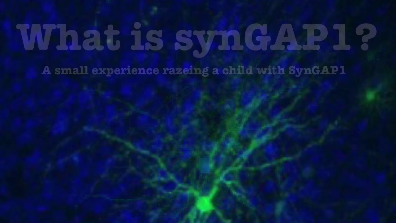 What is synGAP1 | a small experience razing a child with synGAP1 - YouTube