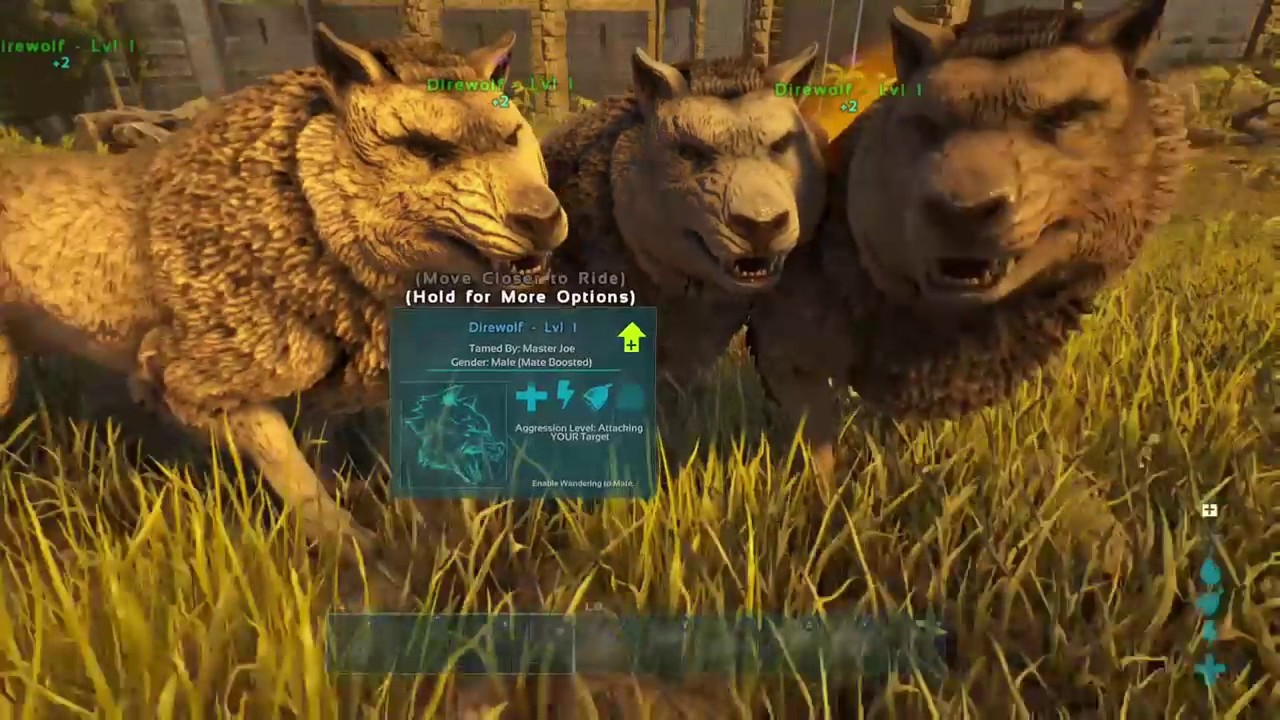 Ark survival evolved (Dire Wolf VS Raptor) - YouTube