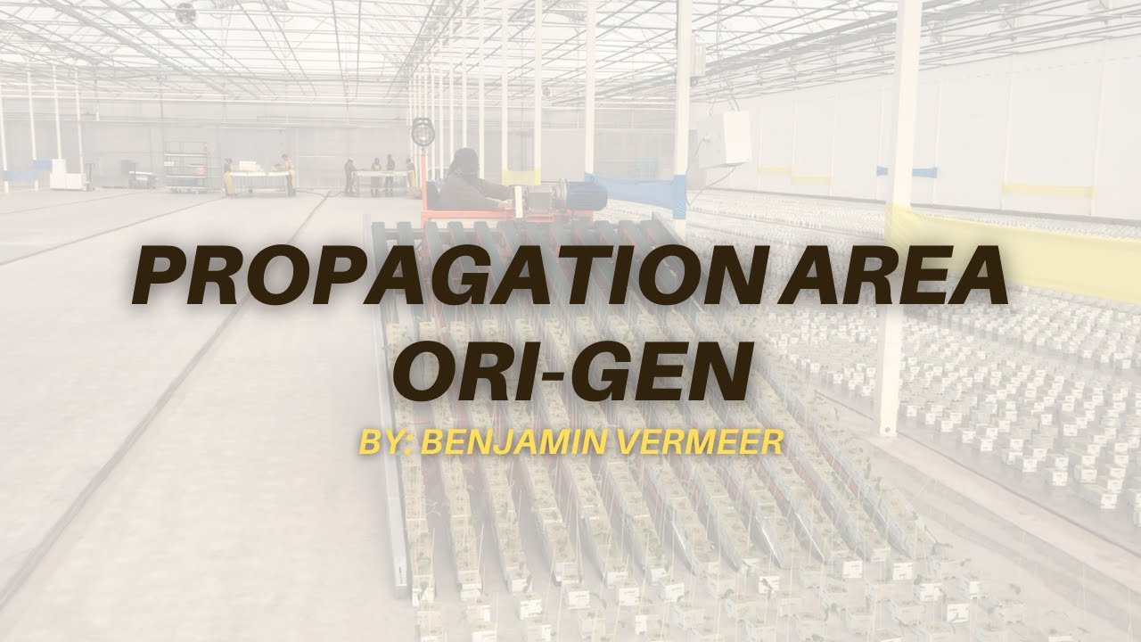 Propagation area | Ori Gen - YouTube