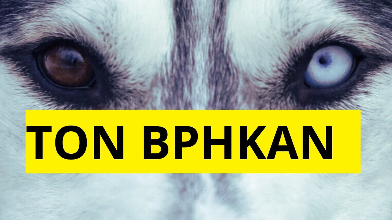 ΤΑΥΤΟΠΟΙΗΘΗΚΕ ο δράστης του όλιβερ στην Αράχωβα - YouTube
