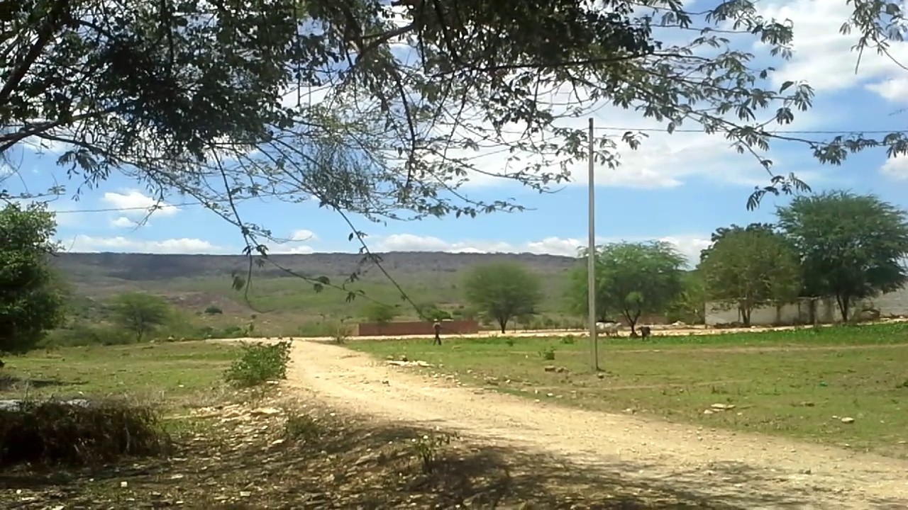 touros brigando - YouTube