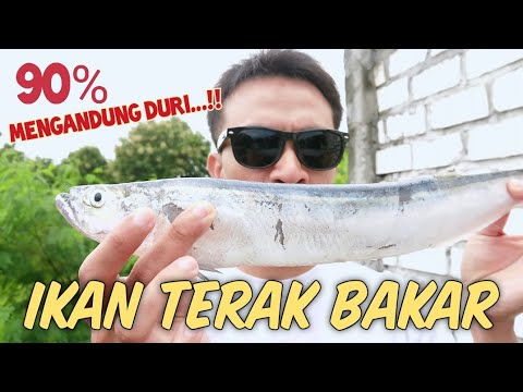 MENYESAL BELI IKAN PARANG-PARANG, TERLALU BANYAK DURINYA - YouTube