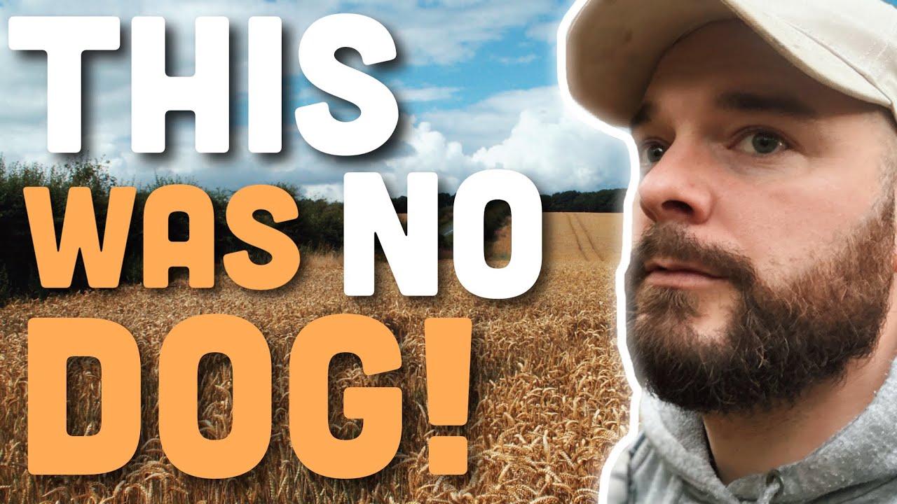 (STRANGE SIGHTING!)BIG CATS IN THE UK? OR SOME OTHER UNEXPLAINED ...