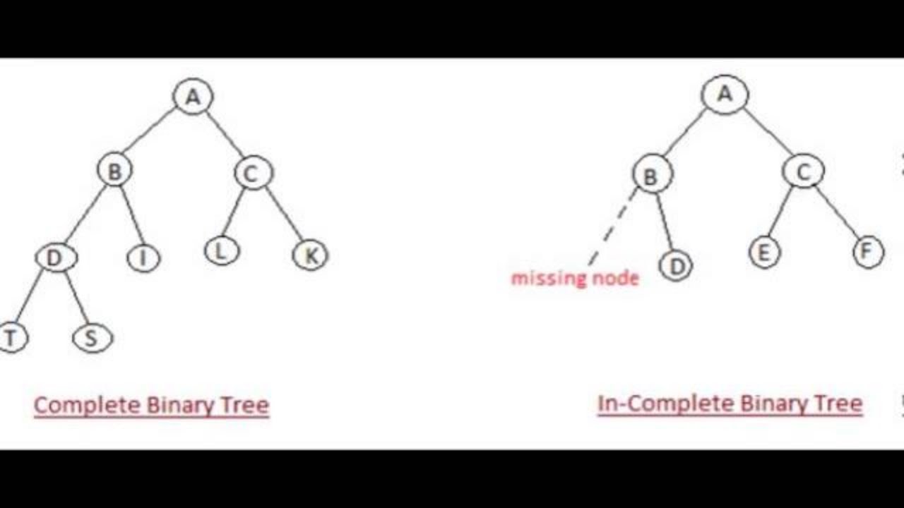 Heapsort Education heap Sort Program In Data Structure heap Sort Heapsort Education heap Sort Program In Data Structure heap Sort