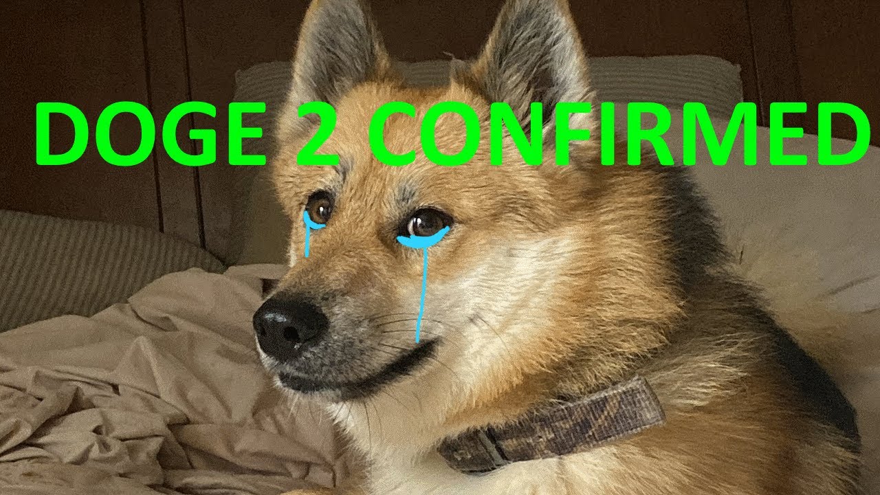 DOGE 2 but it's sad - YouTube