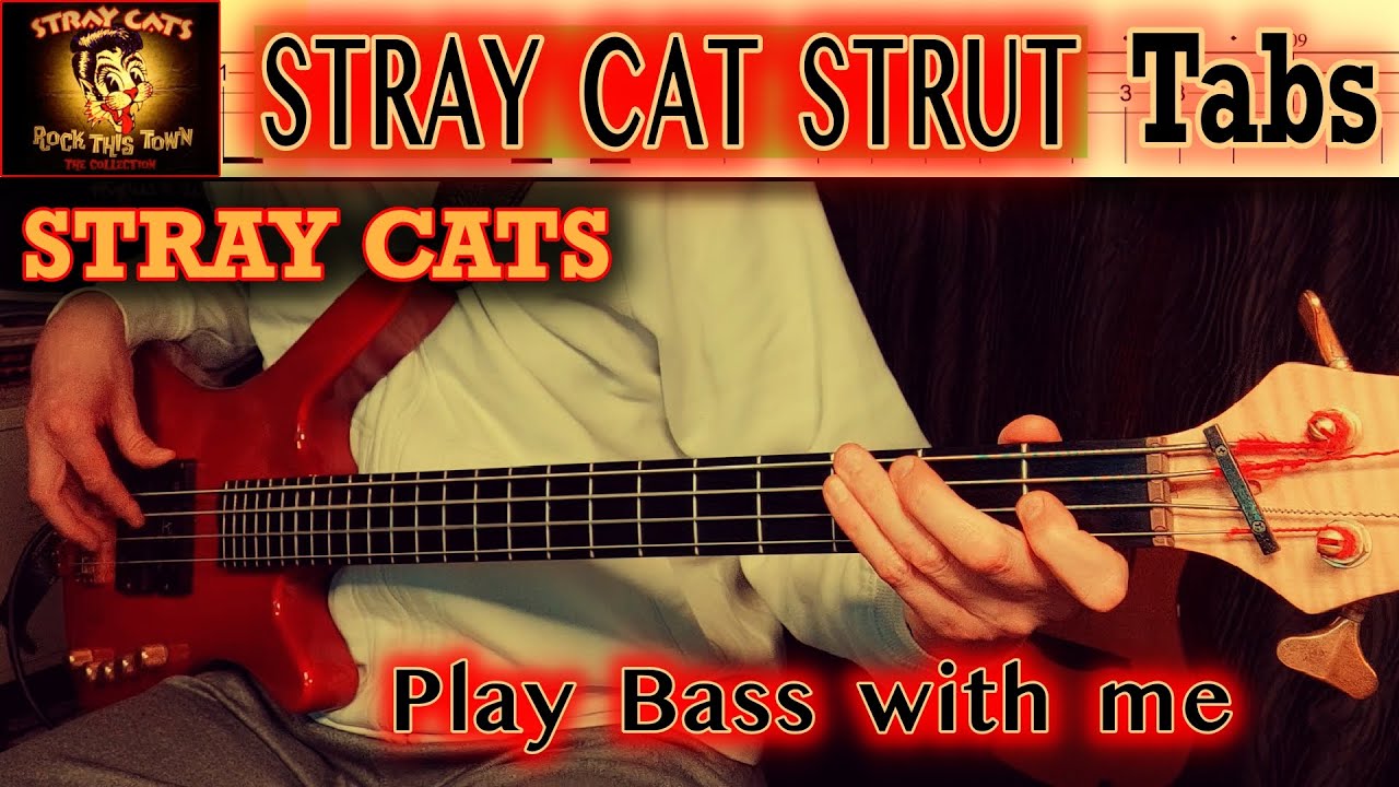 STRAY CATS - Stray Cat Strut (Bass Cover) + Play along TABS - YouTube