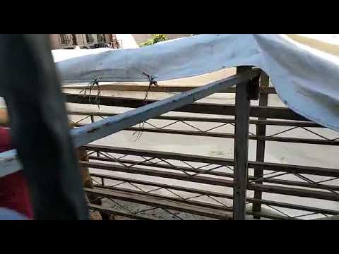 Bu seneki kurban azgin çıktı kesilme sırası beklerken bile atlıyor