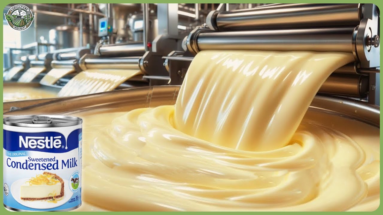 How Million Tons of Condensed Milk Is Made - Massive Process Nestlé ...