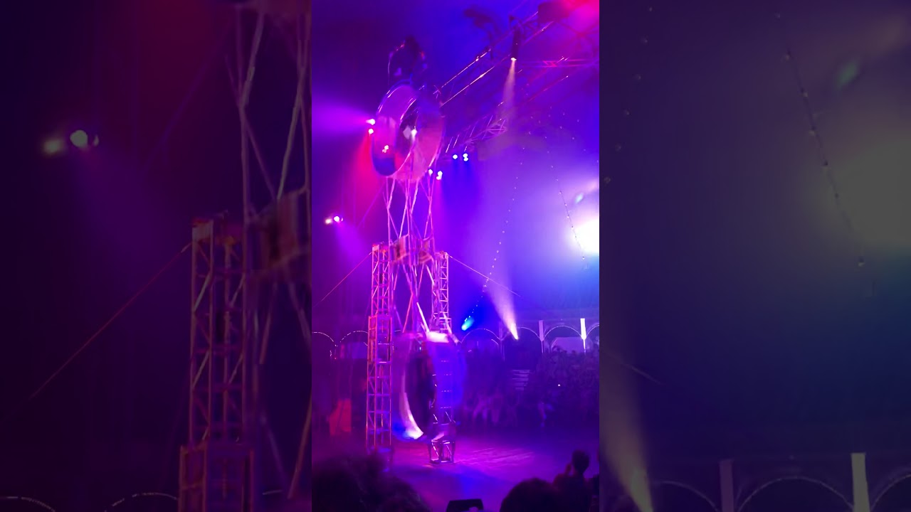 2020 Infamous Circus in Gold Coast - YouTube