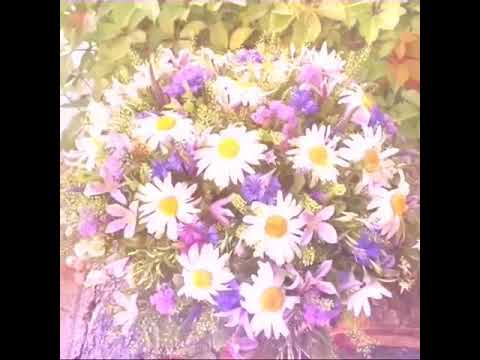 Aşk Romantik Ve Romantizm