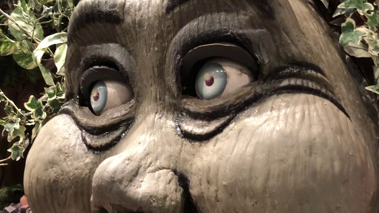 Tracy the Talking Tree - Rainforest Cafe - YouTube