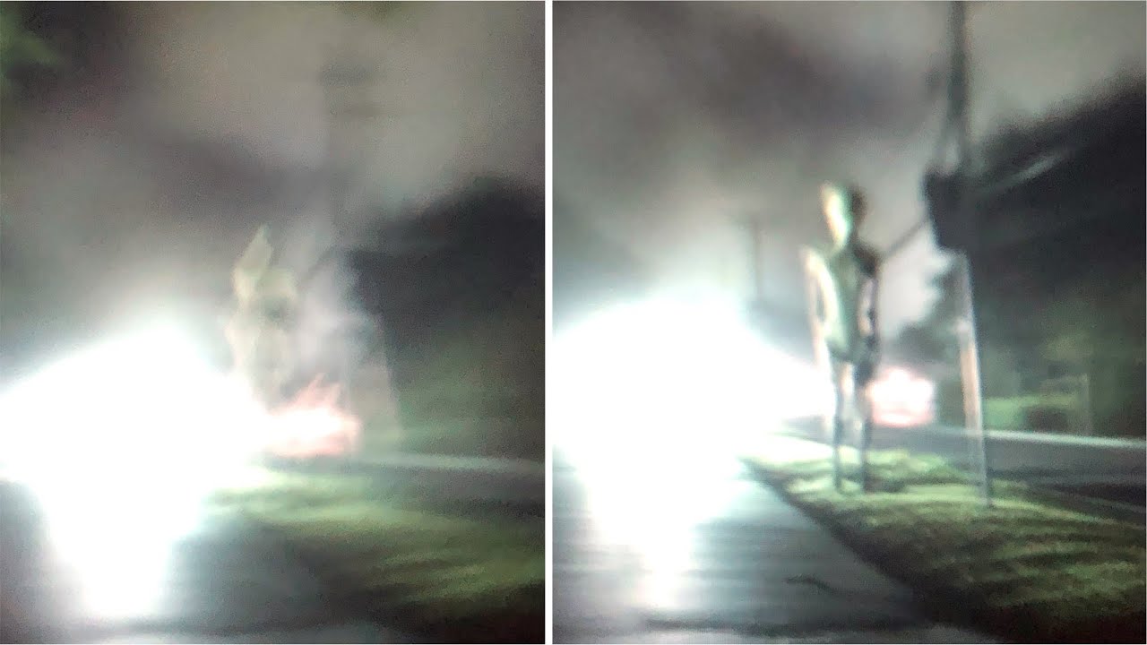 This Man In Miami Just Released The Clearest Footage Of The Miami Alien ...