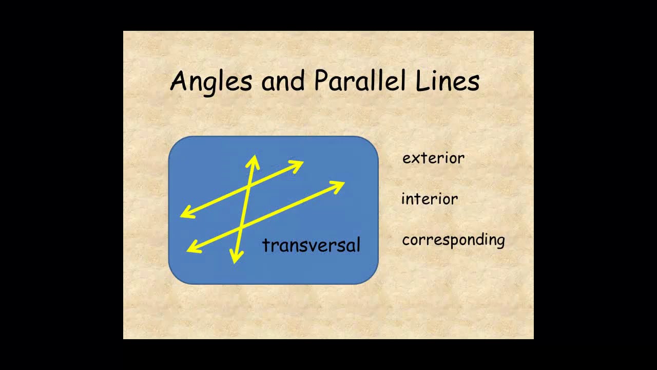 Grade 7 Angles and Parallel Lines - YouTube