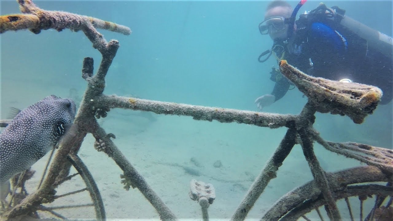 Wrack- Abenteuer -Tauchgang beim Advanced Open Water Diver Wrack Balena ...