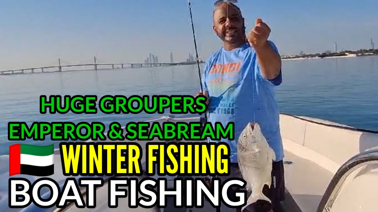 🇦🇪 WINTER FISHING / BOAT FISHING / HUGE GROUPERS / EMPEROR / SEABREAM ...