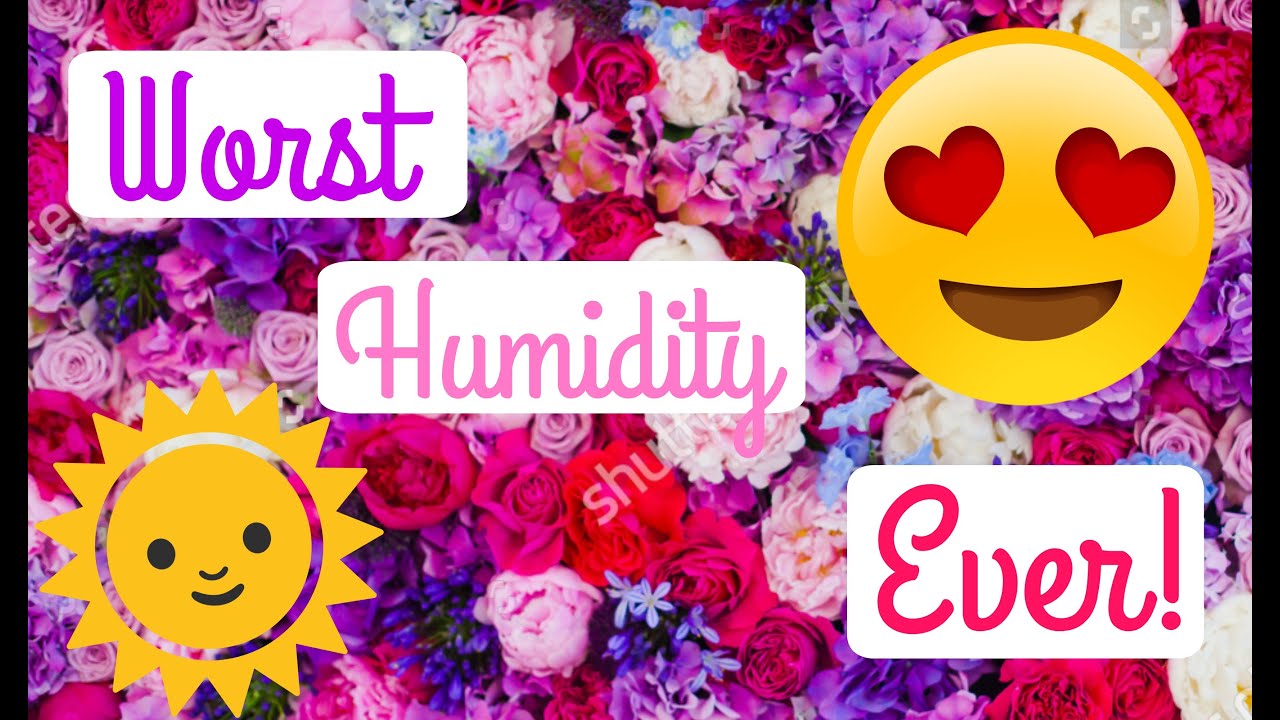 Worst Humidity Ever! -- Florida Vlog Day 1 2016 -- lovebeautyvlogs ...