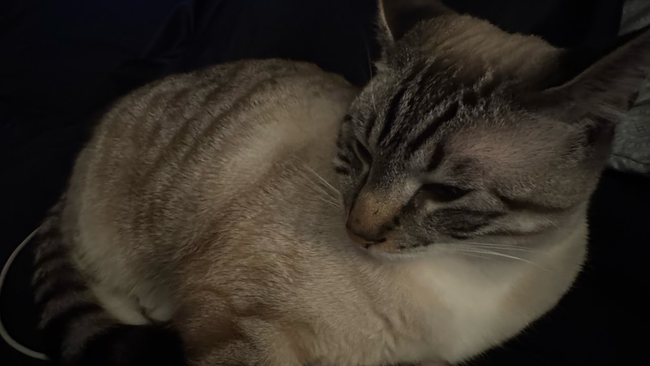 playing rivals with viewers - YouTube