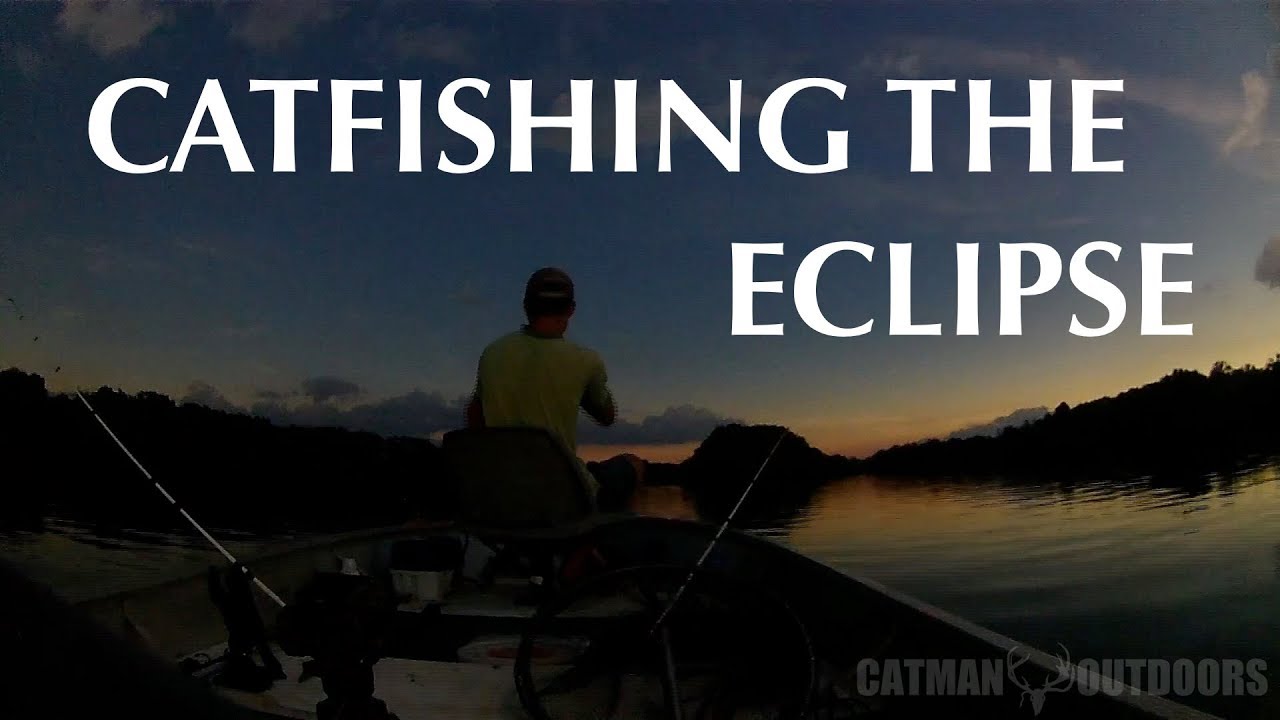 Catching Catfish in the Solar Eclipse - YouTube